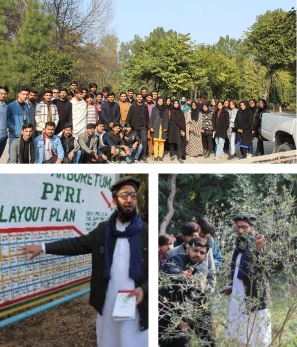 Life on Land - Sustainable Development Goals – National Textile ...
